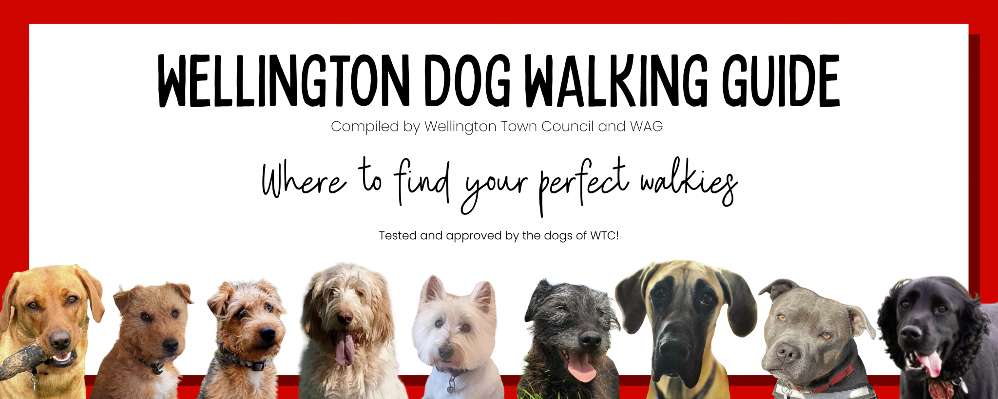 Dog Walking Guide - Wellington Town Council